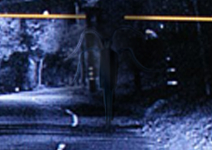 Create Paranormal Images - The Something Awful Forums